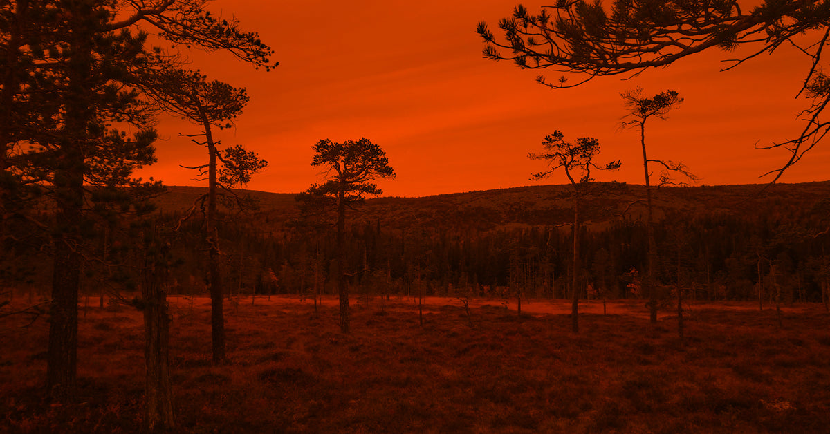 Farut – The Remote Proximity